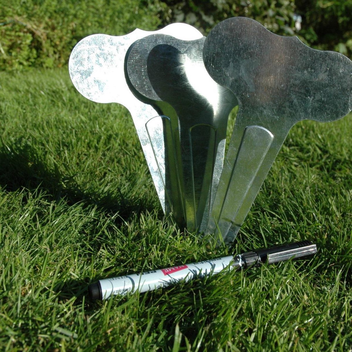 6 plantenstekers met watervaste stift | bol