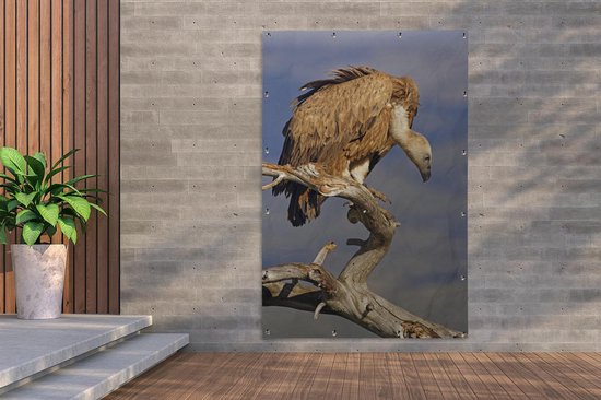 Muurdecoratie Vale gier op een kale tak - 120x180 cm - Tuinposter | bol