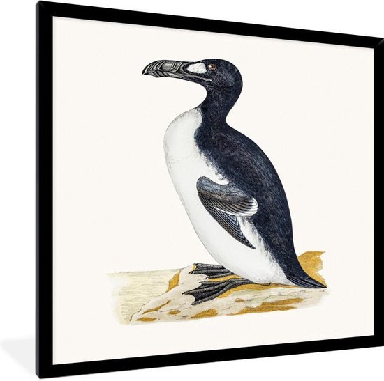 Fotolijst incl. Poster - vintage tekening van de Reuzenalk - 30x40 cm ...