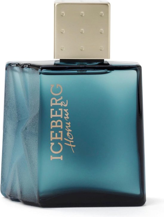 Iceberg Homme Eau De Toilette 100 Ml | bol.com