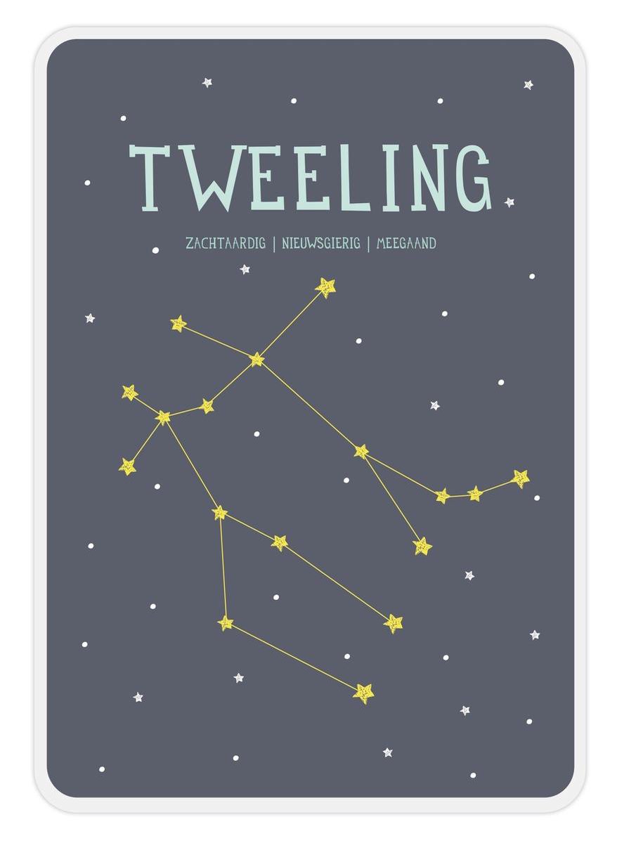Milestone- Sterrenbeeld Posterkaart - Tweeling | bol.com