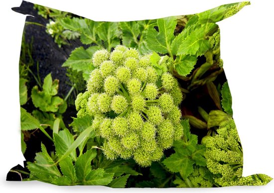 PillowMonkey zitzak - De groene kleuren van de Angelica i - 140x100 cm ...