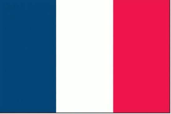 Franse vlag 50x75cm - spunpoly | bol