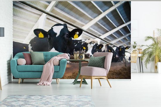 Behang - Fotobehang Koe - Boerderij - Stal - Breedte 525 cm x hoogte ...
