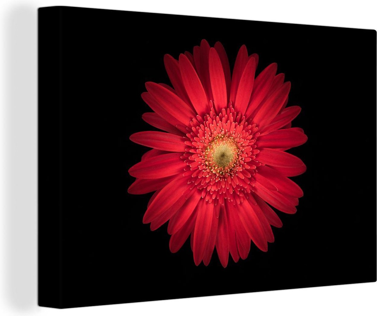 Canvas Schilderij Madelief - Bloem - Rood - 120x80 cm - Wanddecoratie ...