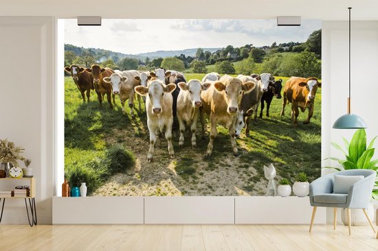 Behang - Fotobehang Boerderij - Koeien - Gras - Breedte 600 cm x hoogte ...