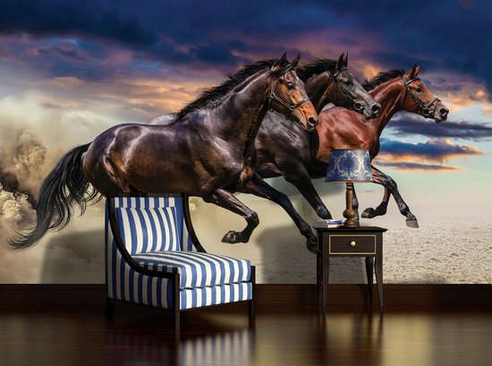 Fotobehangkoning - Behang - Fotobehang - Galopperende Paarden ...
