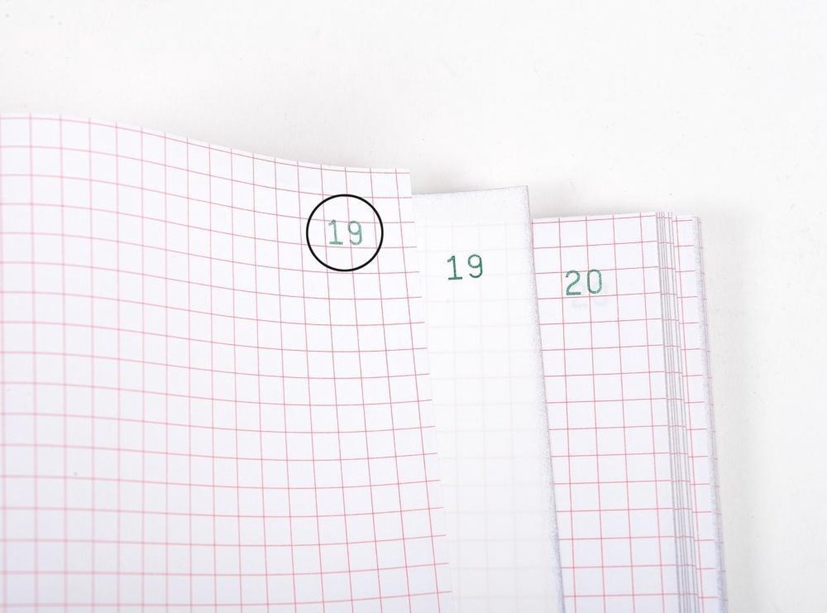 5x Doorschrijfpapier geruit 5x5 29,7x21cm 50 zelfkopiërend papier dupli ...