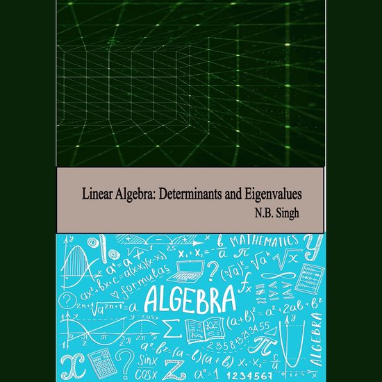 Linear Algebra: Determinants and Eigenvalues, N.B. Singh ...