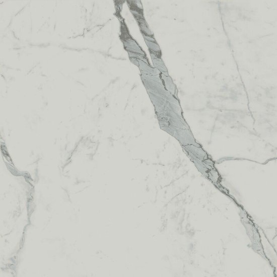 Exigo Statuario mat 60x60 rett | bol
