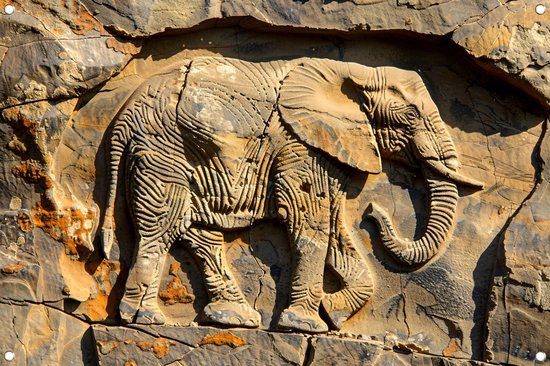 Olifant poster - Dier posters - Tuinposters Muur - Buiten - Poster tuin ...