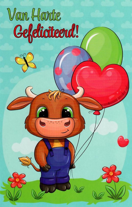 Van harte gefeliciteerd! | bol