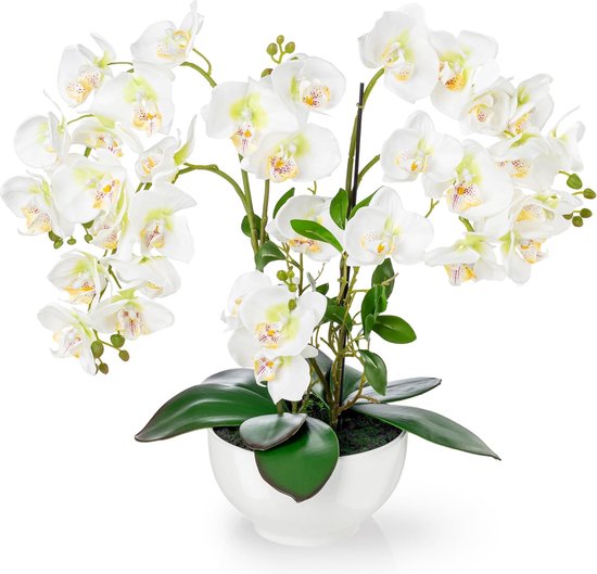 Kunstbloem orchidee groot (56 cm) in hoogglans keramische pot ...