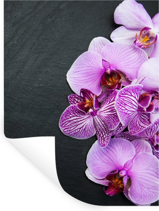 Muurstickers - Sticker Folie - Orchidee - Bloemen - Roze - Flora - 120x160 cm -... | bol