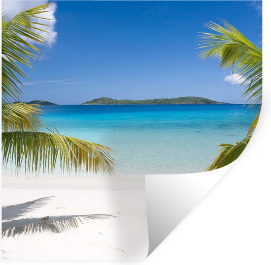 Muurstickers - Sticker Folie - Strand - Palmen - Tropisch - 100x100 cm ...