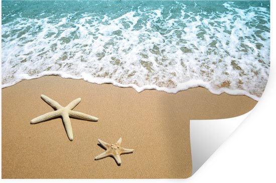 Muurstickers - Sticker Folie - Zeester - Strand - Zee - 90x60 cm ...