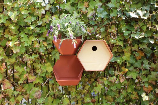 Capi Europe - Vogelhuisje ovaal Hive - 19x23x20 - Antraciet - Capi ...