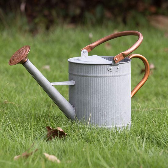 Arrosoir, arrosoir de jardin en zinc galvanisé, pour intérieur et ...