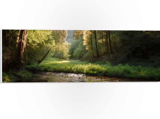 PVC Schuimplaat- Bos - Natuur - Water - Beekje - Stenen - Bomen - 60x20 ...