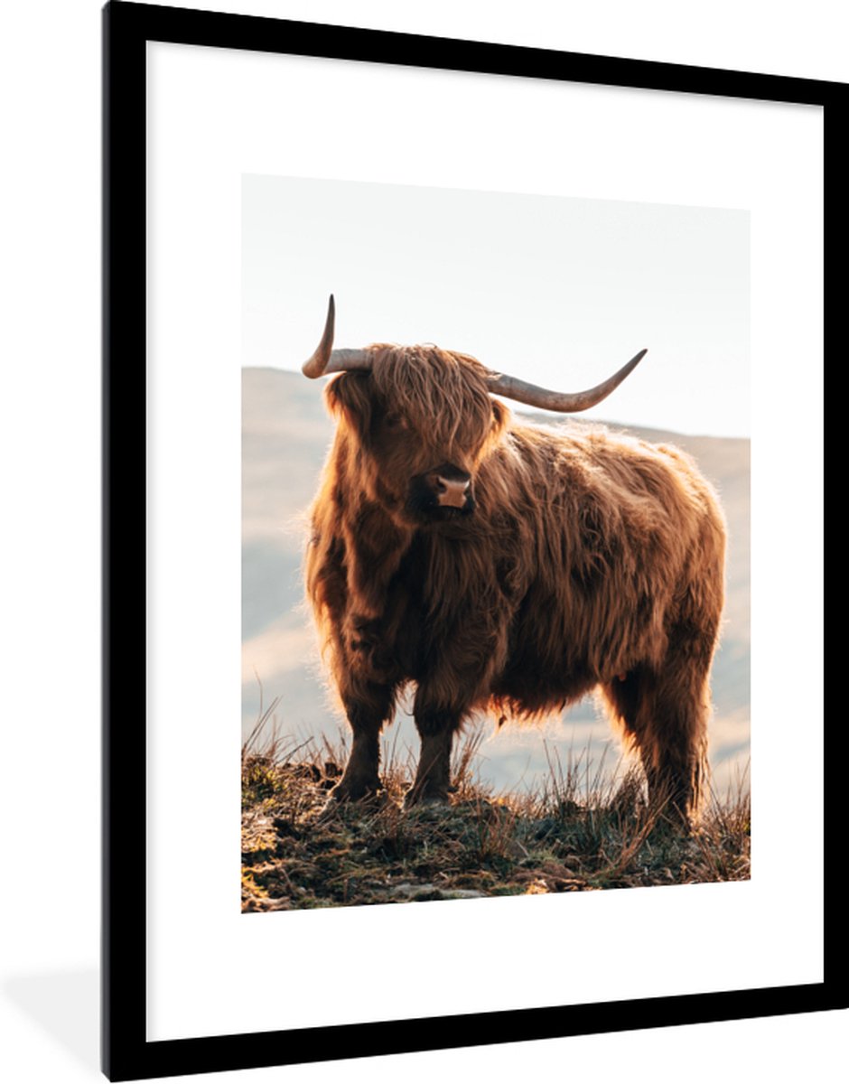Fotolijst - Schotse hooglander - Koe - Berg - Poster - Frame poster ...