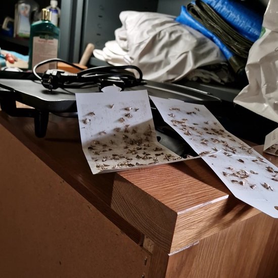 PestiNext Kleding Mottenval - Feromoon tegen kledingmotten - 5 stuks | bol