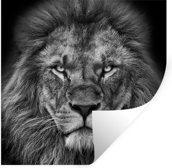 Muurstickers - Sticker Folie - Dieren - Leeuw - Zwart - Wit - Portret - 80x80 cm -... | bol