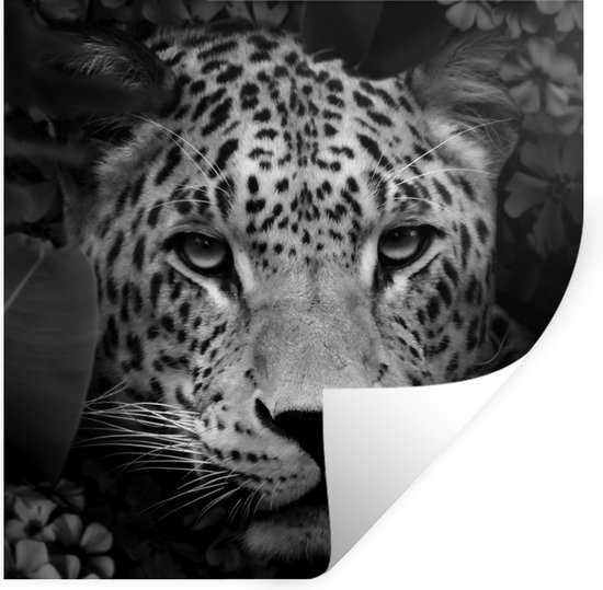 Muurstickers - Sticker Folie - Jungle - Panter - Wilde dieren - Zwart - Wit - 120x120... | bol