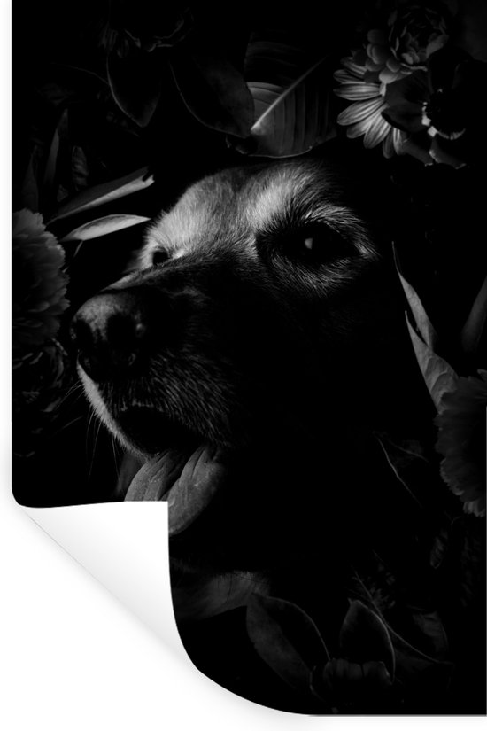 Muurstickers - Sticker Folie - Botanische hond tegen donkere achtergrond - zwart wit -... | bol