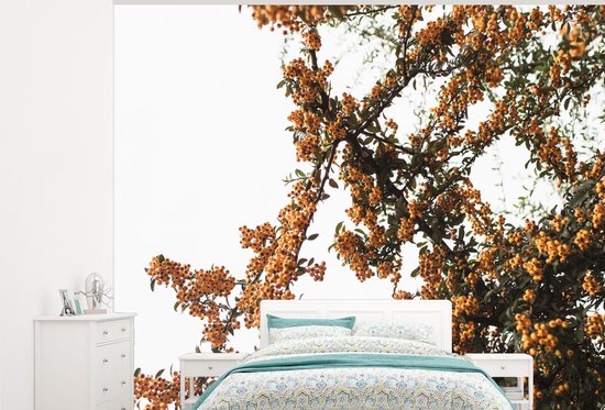 Behang - Fotobehang Bloemen - Takken - Natuur - Breedte 300 cm x hoogte ...