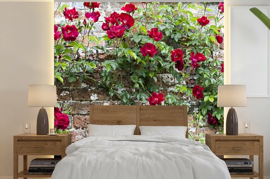 Behang - Fotobehang Klimplant met rode bloemen op een stenen muur ...