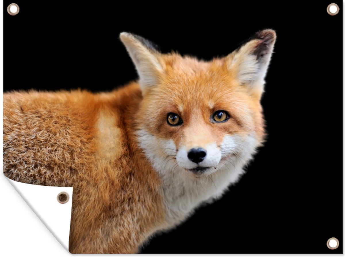 Décoration de Jardin Renard - Animal - Portrait - 40x30 cm - Toile de ...