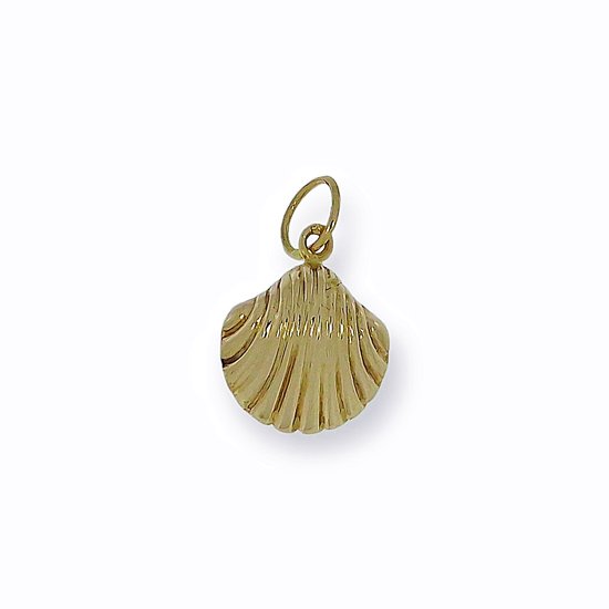 Gouden Hanger Schelp 14 karaats | bol