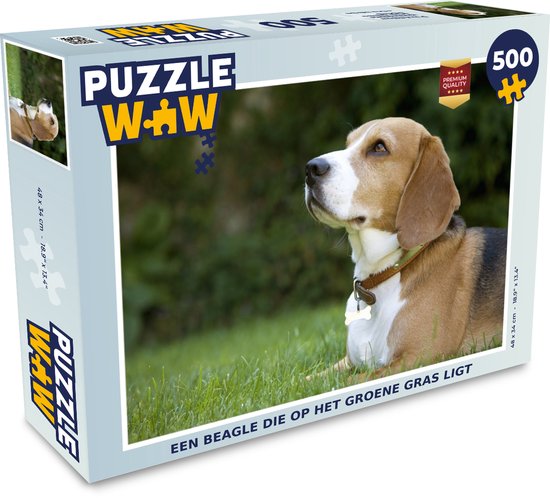 Puzzel Een beagle die op het groene gras ligt - Legpuzzel - Puzzel 500 ...