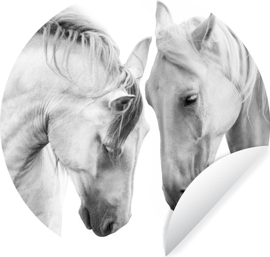 Behangcirkel - Dieren - Paarden - Zwart - Wit - 30x30 cm - Zelfklevend behang -... | bol.com