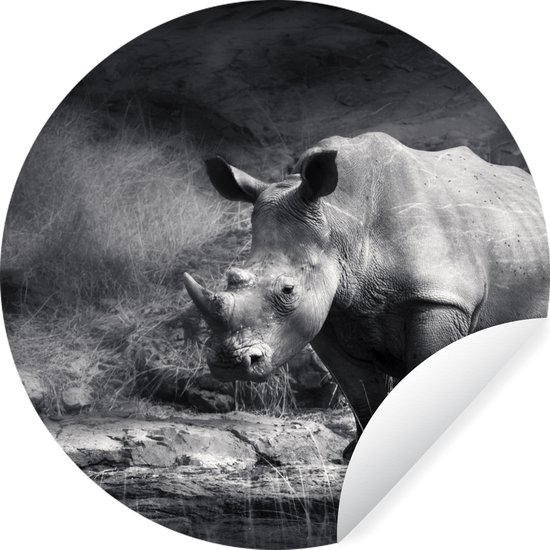 Behangcirkel - Zelfklevend behang - Wilde dieren - Neushoorn - Natuur - Gras - 100x100... | bol
