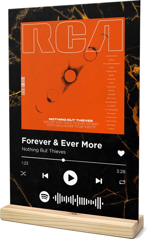 Songr Spotify Plaat - Forever & Ever More - Nothing But Thieves - 20x30 ...