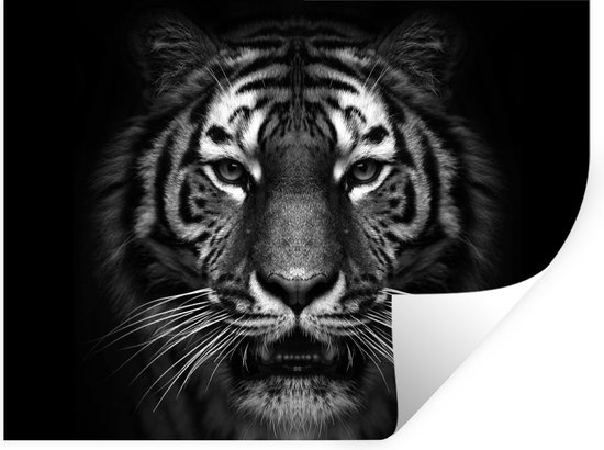 Muurstickers - Sticker Folie - Tijger - Dieren - Zwart - Wit - Portret - Wild - 80x60... | bol