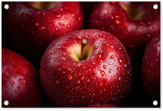 Tuinposter 60x40 cm - Tuindecoratie Rood - Appels - Fruit - Poster voor ...