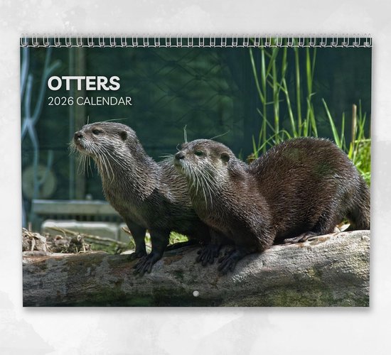 Maandkalender 2026 A4 Hangend met Ruimte voor Notities en Feestdagen | bol