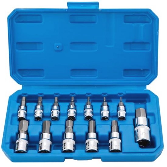 Premium 13-delige Hex Bit Socket Set voor Metalen 2mm - 14mm | bol