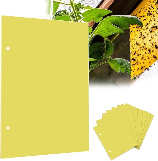 Allecto Premium - Lijmval 20 stuks voor insecten - Dubbelzijdige ...