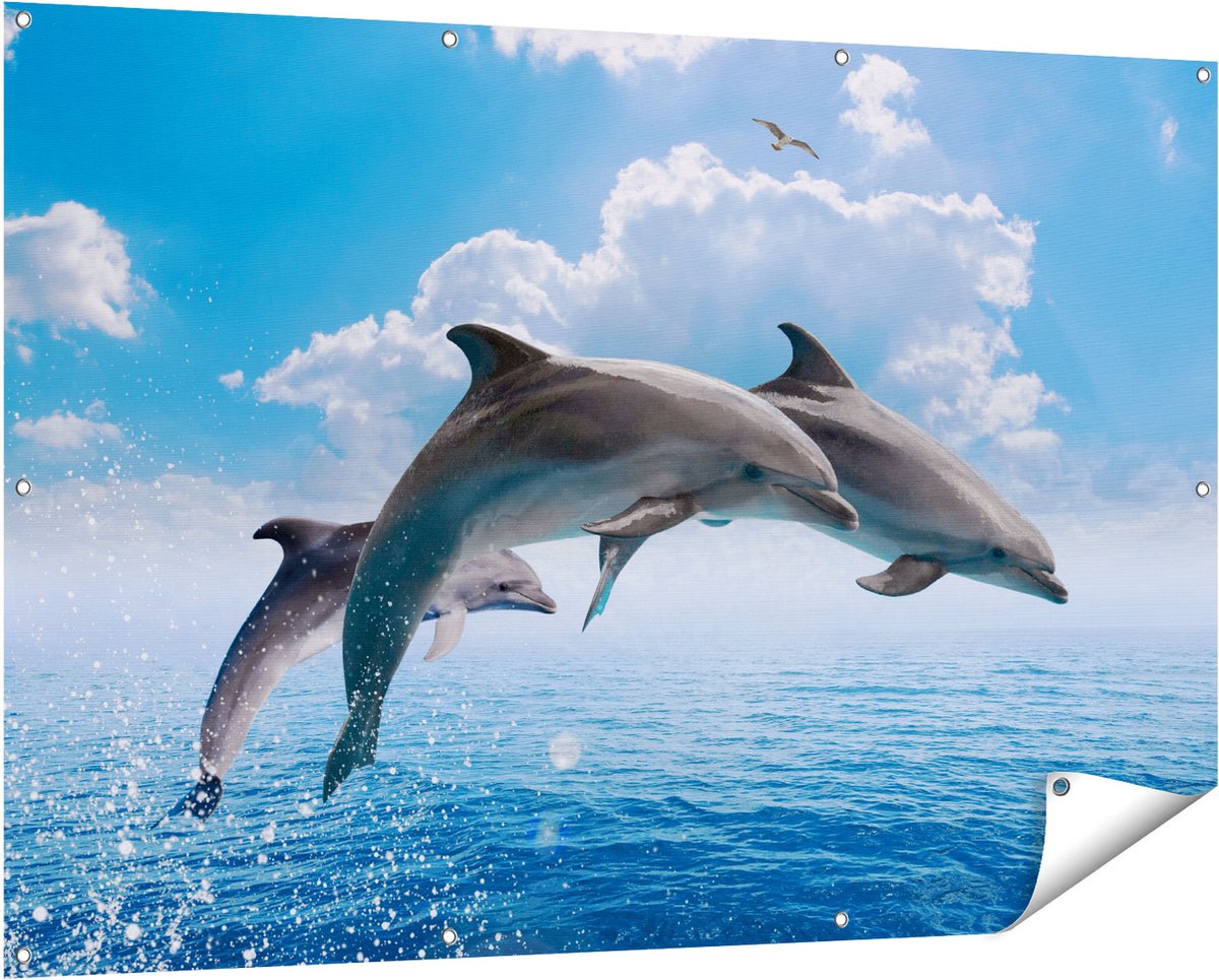 Gards Tuinposter Dolfijnen Springen uit de Blauwe Zee - 150x100 cm ...