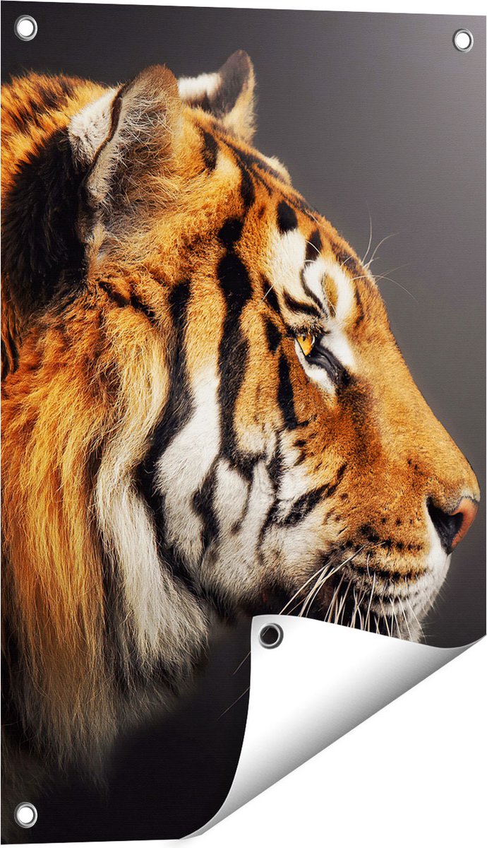 Gards Tuinposter Zijaanzicht van een Tijger - Tijgerkop - 40x60 cm - Tuindoek -... | bol.com