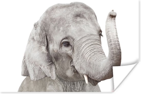 Poster Olifant - Dieren - Grijs - Natuur - 30x20 cm | bol