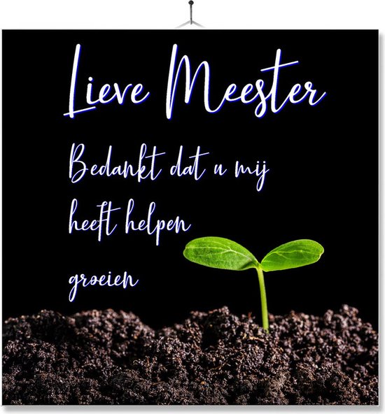 Tegel Met Opdruk | Geschenk | Kado | Lieve meester bedankt | bol