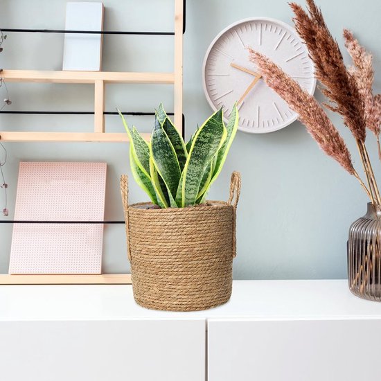 Bloempot Zeegras Zeegras Plant Mand stro Plant Pot Gevlochten Mand ...