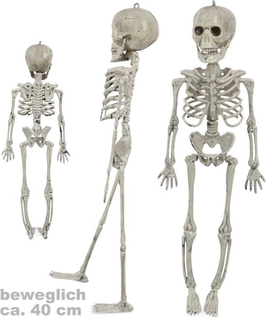 Deco skelet beweegbaar - 40cm | bol