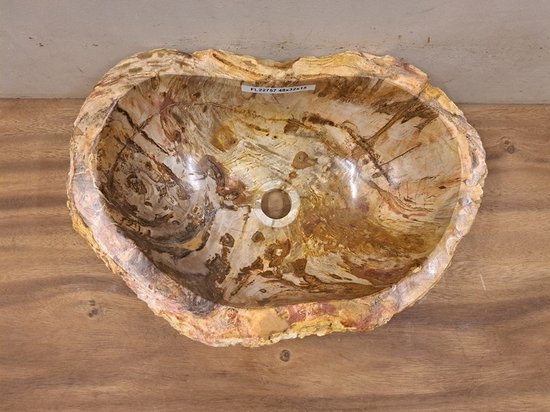 Waskom van versteend hout - 48x32x15cm - FL22757 | bol