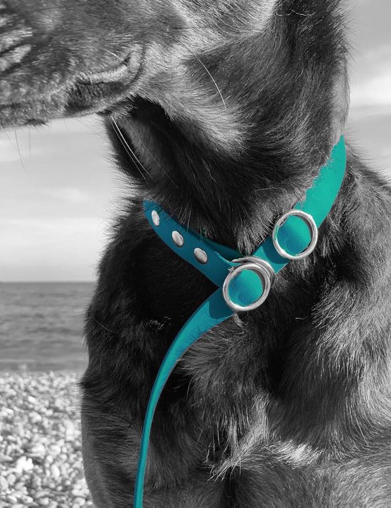 BioThane Thin Width Teal Blue Martingale Dog Collar | bol