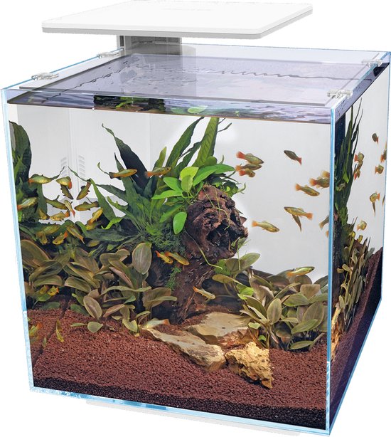 SuperFish Qubiq 60 Pro Aquarium - Wit - 60L | bol